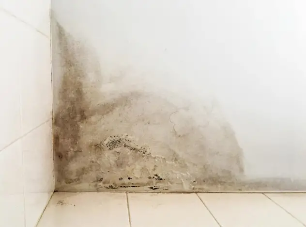 How to Avoid Drywall Damage & Cracks